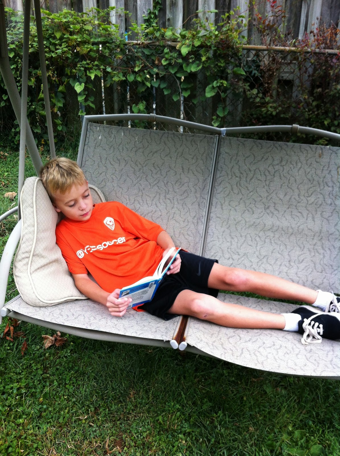 Deep Roots – Blue Willow